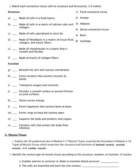 Solved Match Each Connective Tissue With Its Structure And