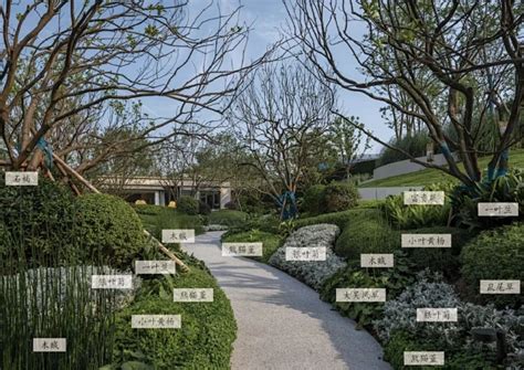 植物配置分享 花瓣网