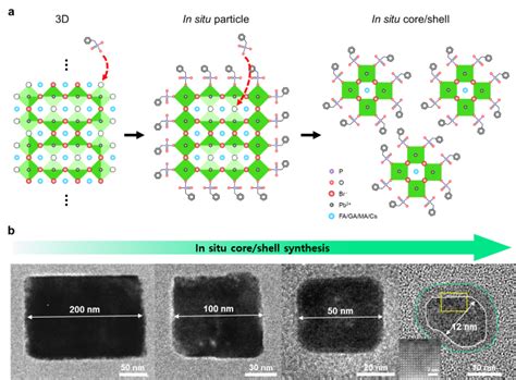 서울대 이태우 교수팀 차세대 디스플레이 소재 상용화 앞당겨 노컷뉴스