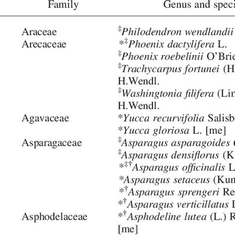 List Of Monocot Species Class Liliopsida That Have A Multiseriate