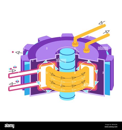 Thermonuclear Fusion Reactor Including Toroidal And Poloidal Fields Plasma Magnets And Fuel