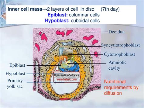 Notice Saturday Morning And Afternoon Theory Lesson Ppt Download