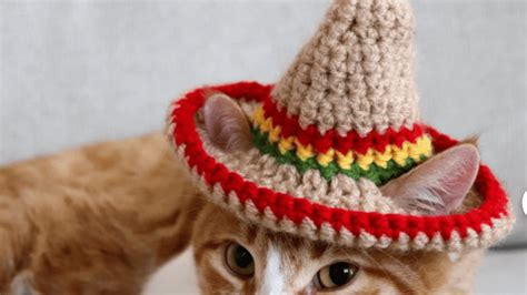 7 Easy Crochet Easter Bunny Patterns Fun Crochet Patterns