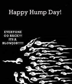 Hump Day Ideas Hump Day Hump Bones Funny
