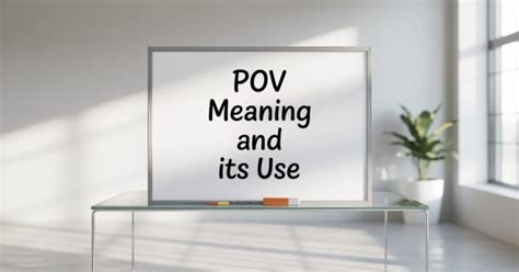 Pov Meaning How To Use It And Real Examples For