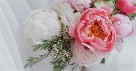 행복한 어머니의 날 부드러운 흰색 천에 아름 다운 세련 된 모란 꽃다발입니다 소박한 나무 의자에 얇은 명주 그물에 분홍색과 흰색 모란 꽃 신부의 아침 텍스트를 위한