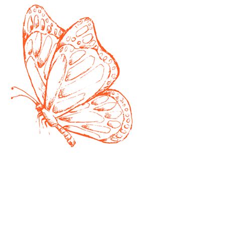 Spark Science Centres School Programs