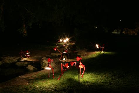 무료 이미지 빛 밤 프랑스 공원 어둠 정원 조명 크리스마스 장식 미술 쿤스트 파르 케 파르코 스크린 샷 파르지 외설물 화이트 타임 제자