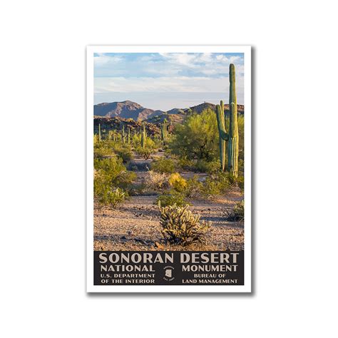 Sonoran Desert National Monument Poster Wpa Viewpoint Just Go