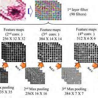 Flow Diagram Of The Proposed Deep Learning Network Download Scientific Diagram