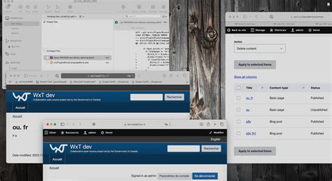 Wxt Library Language Block Warning When Viewing The Latest Version Node Page In Some Cases