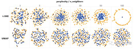 单细胞转录组tsne和umap可视化有什么区别？别再问啦，这就告诉你！数据距离高维