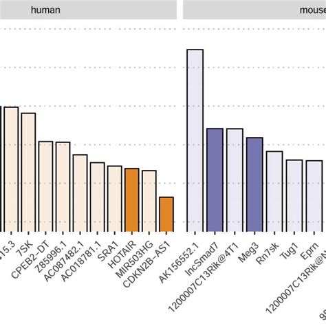 auc values of all the analysed lncrnas the auc values are reported