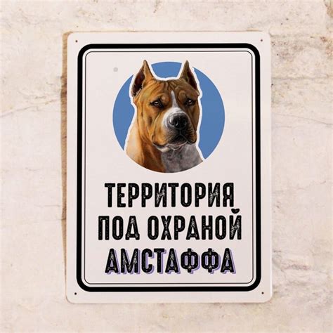 Декоративная Жесть /таблички и календари/ | ВКонтакте