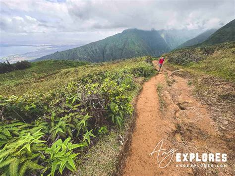 Waiheʻe Ridge Trail Maui Hiking Guide Tips And What To Expect Ang