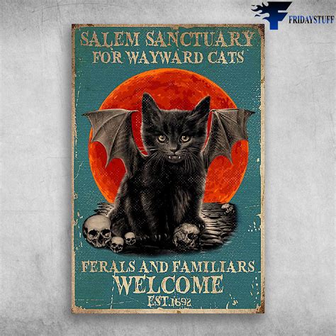 Black Cat And Skull Salem Sanctuary For Wayward Cats Ferals And