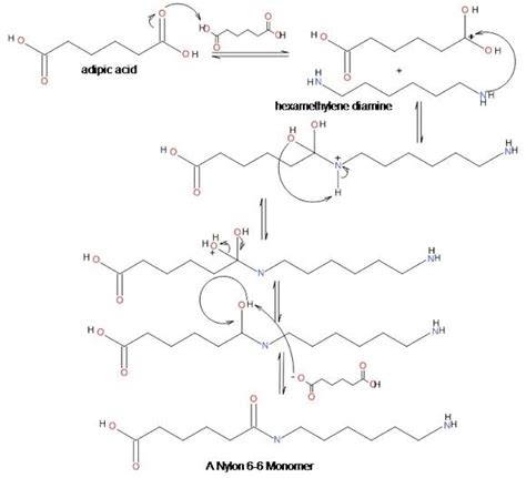 Solved Nylon By Interfacial Polymerization Lab Report Sheet Nylon By