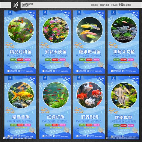 水族馆设计图 海报设计 广告设计 设计图库 昵图网