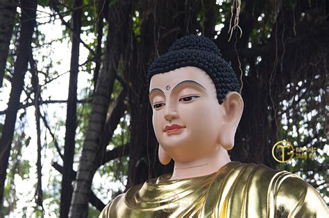 Tải ngay Ảnh Phật Thích Ca Mâu Ni đẹp nhất Miễn phí và dễ dàng