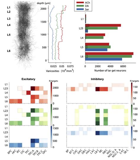 In Silico Predictions Of Chat 5 Ht And Th All Data Is Representative