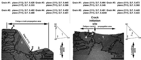 The Ebsd Analysis Of Specimen Download Scientific Diagram