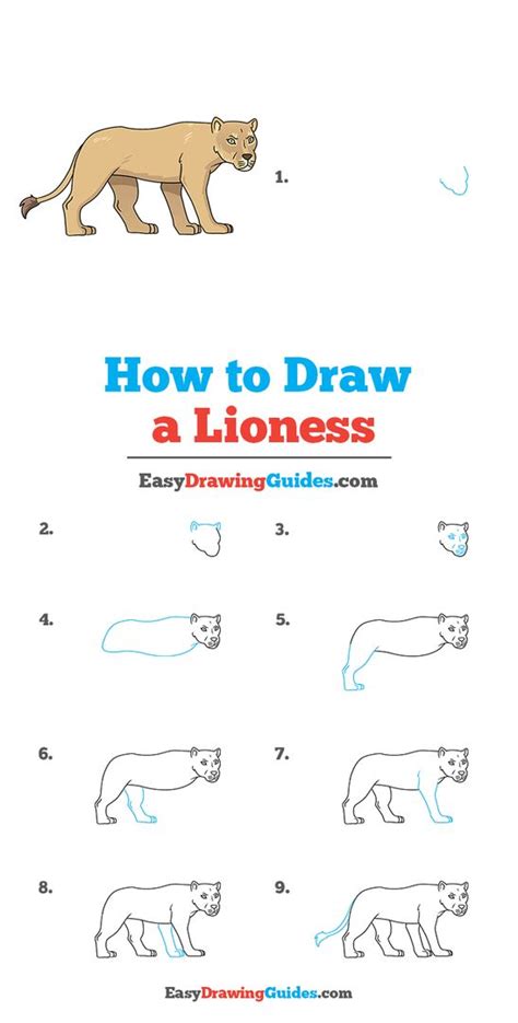How To Draw A Lioness Really Easy Drawing Tutorial Drawing Tutorial Easy Easy Drawings