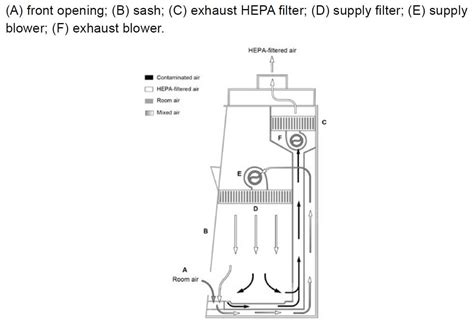 Biological Safety Cabinets Bscs Classes With Examples