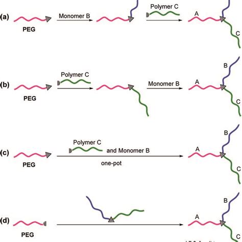 Topology Of Peg Based Abc Linear 3 Miktoarm Cyclic Terpolymers Download Scientific Diagram