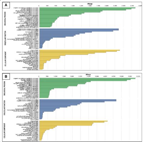 Gene Ontology Go Functional Categorization Of Download