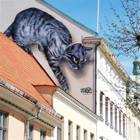 One Cat Loved By A City Another Forgotten By All 10 Times We