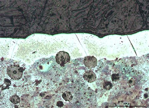 Optical Microscope Fracture Surface Profile Analysis 5 Ferrite 95
