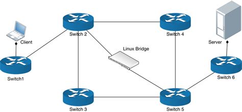 The Topology Using A Linux Bridge Download Scientific Diagram