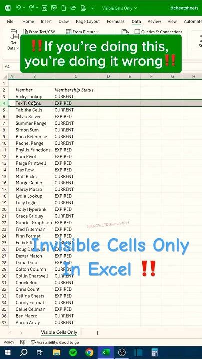Invisible Cells Only In Excel ‼️ Shorts Computer Excel Youtube