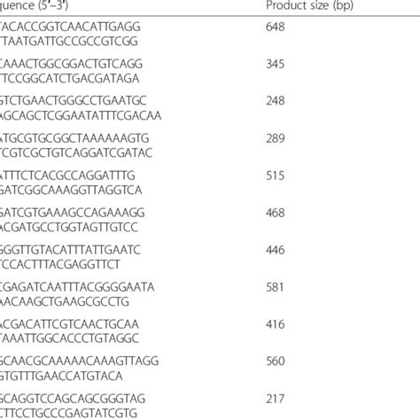 Primes Used In This Study Download Table