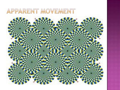 Perception In Psychology Ppt