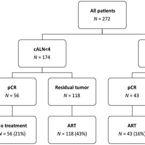 Lymph Node Station Numbers Related To The Pancreas In Japanese Download Scientific Diagram