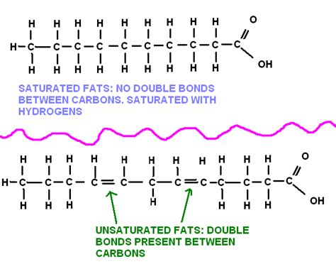 Lipids Triglycerides Tutorial Sophia Learning