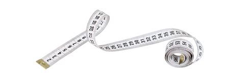 size chart visual 6 x 2 in 1 bold womban