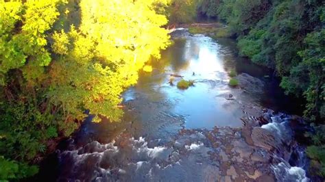 Tad Champi Not Champee Youtube