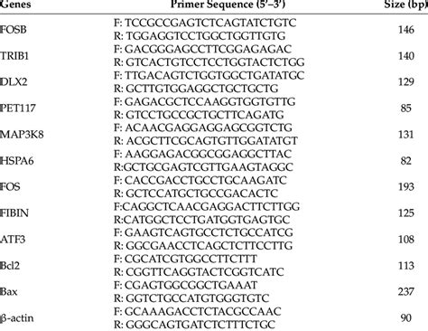 Primer Information For Quantitative Real Time Polymerase Chain Reaction Download Scientific