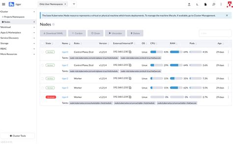 Managed Rke Cluster Node Is Shut Off But Cluster Manager Shows It Is Active · Issue 35064
