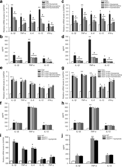 α Synuclein Abolishes The Anti Inflammatory Role Of Drd2 In Astrocytes