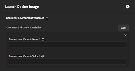 Using Launch Docker Image
