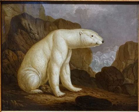 20 Cool Vintage Polar Bear Art Prints Free To Download Picture Box Blue