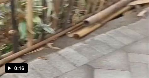 Ntah Itu Bolong Karena Terlalu Asam Atau Sering Dipake Buat Colmek Gag