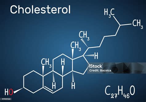 콜레스테롤의 분자 진한 파란색 배경에 구조 화학 공식 및 분자 모델 분자에 대한 스톡 벡터 아트 및 기타 이미지 분자 저밀도지질단백질 콜레스테롤 Istock