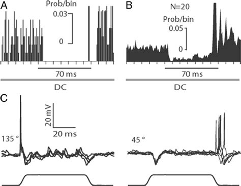 Inhibition Shapes The Angular Tuning Of Prv Neurons Single Cell Psth