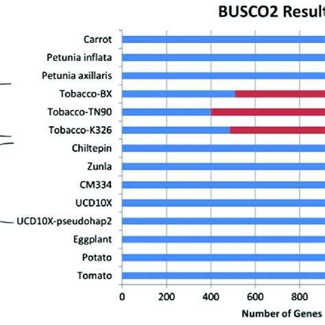 Busco2 Conserved Gene Analysis Comparison Busco2 Results For The