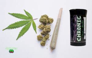 What Are Infused Pre Rolls Full Guide For Beginners Chronic THCA