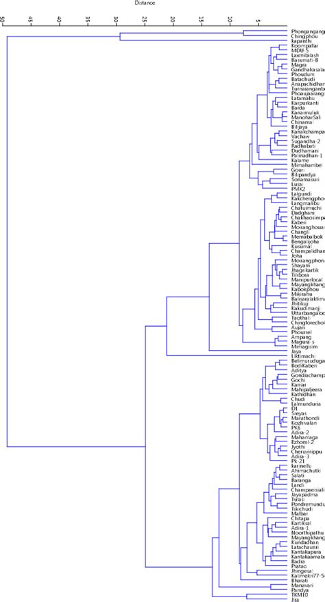 wards s clustering approach based on the estimates of 6 biochemical